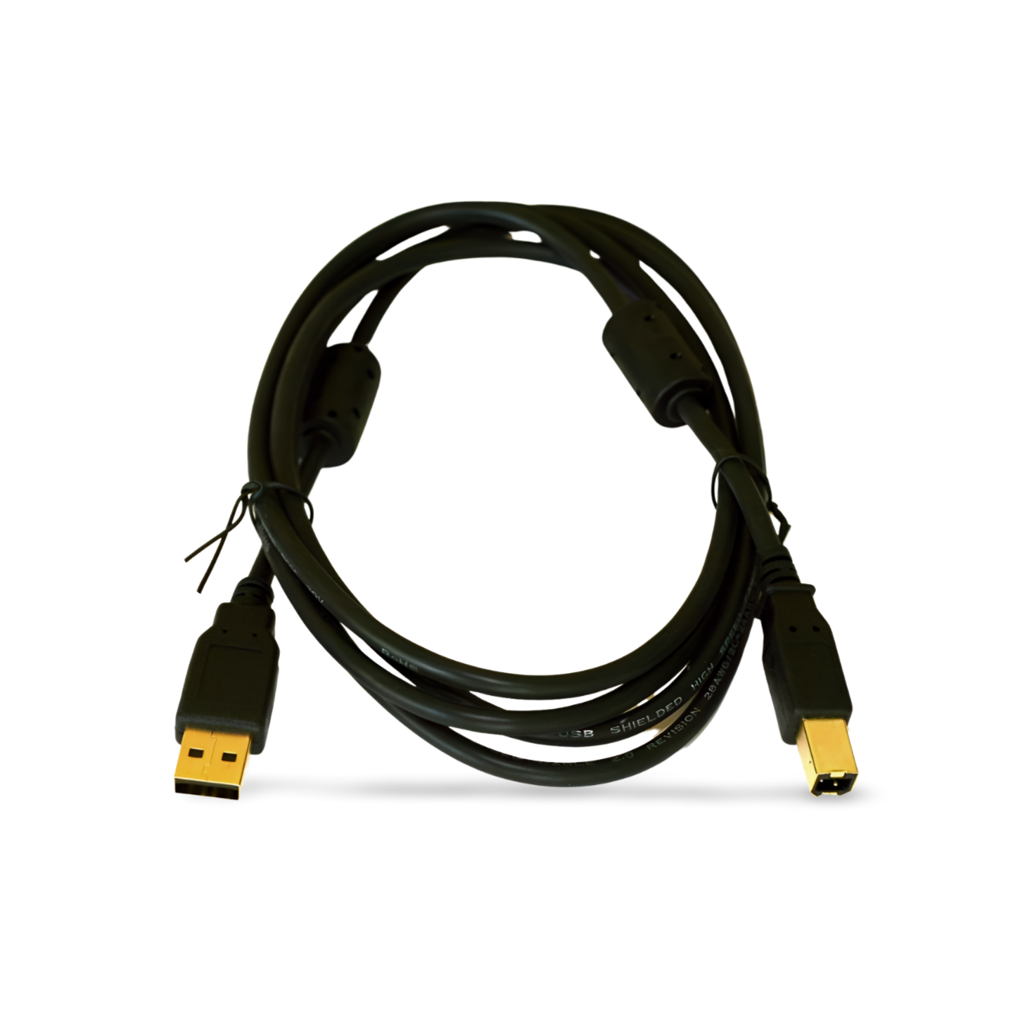 6ft USB 2.0 Cable Dual Ferrite Chokes Type A to Type B (U023-006 ...