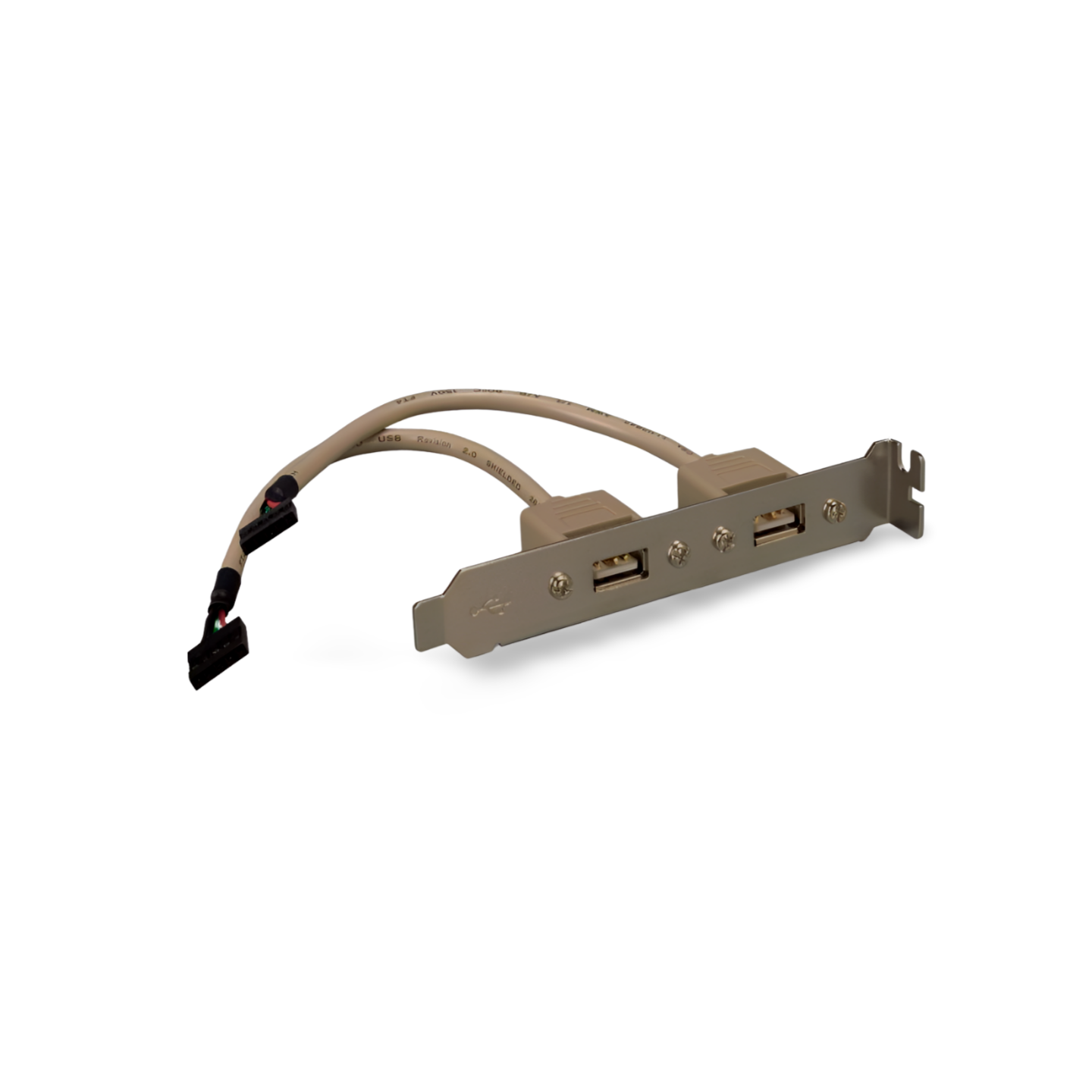 8in USB 2.0 Dual Port on Bracket for Motherboard - Beige ...
